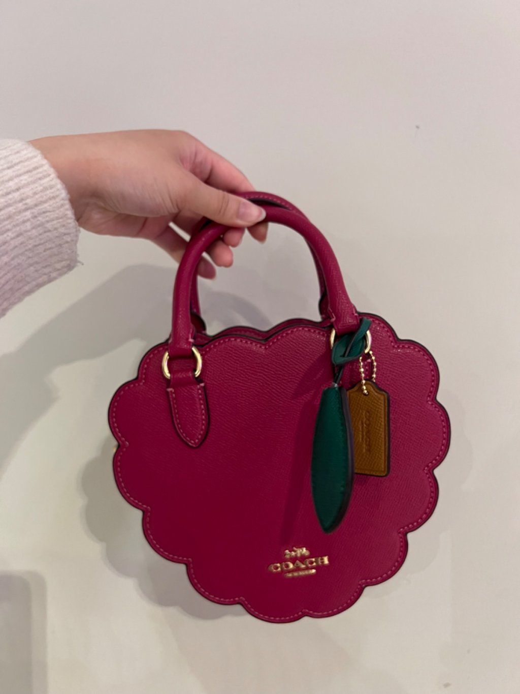 Coach fruit shaped bag - 陳記美加代購